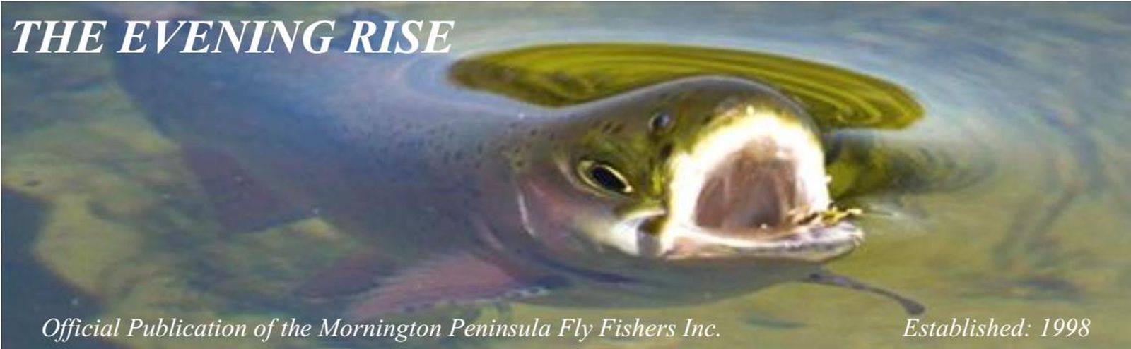 NEWSLETTER 176 - JULY 2015 - MP Fly Fishers